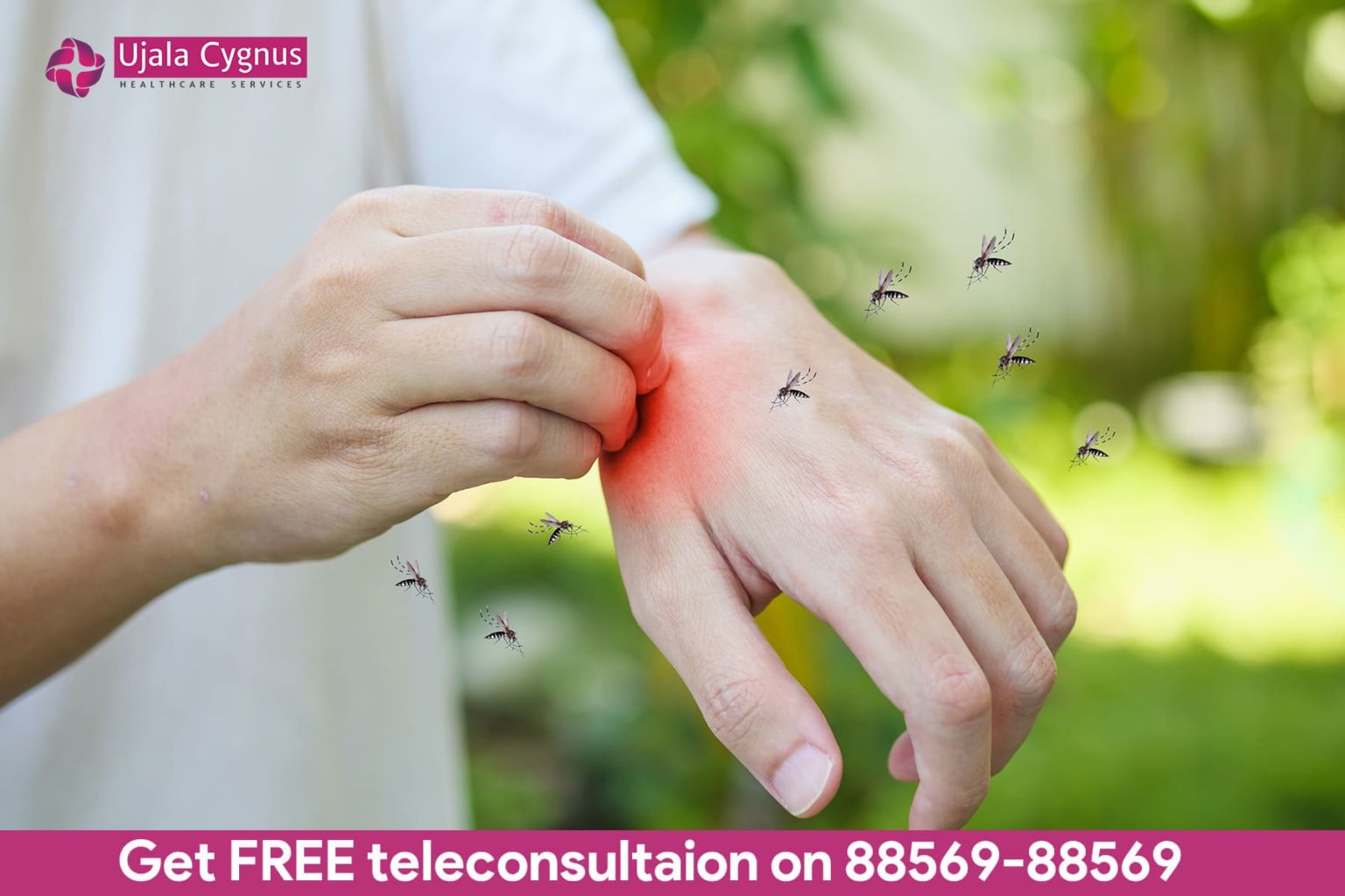 What Is Chikungunya? Causes, Symptoms, and Diagnosis | Ujala Cygnus